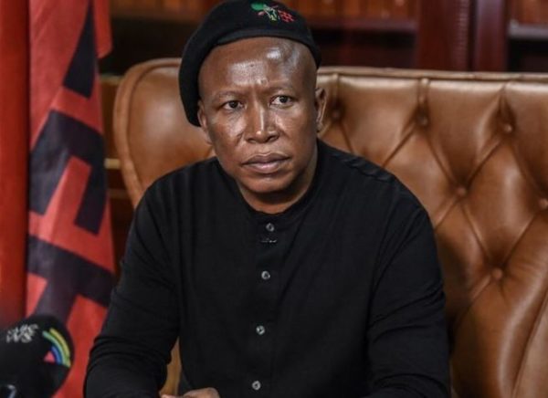EFF LEADER JULIUS 'SELLO' MALEMA TELLS ZIMBABWEANS TO SEEK MUNICIPAL ...